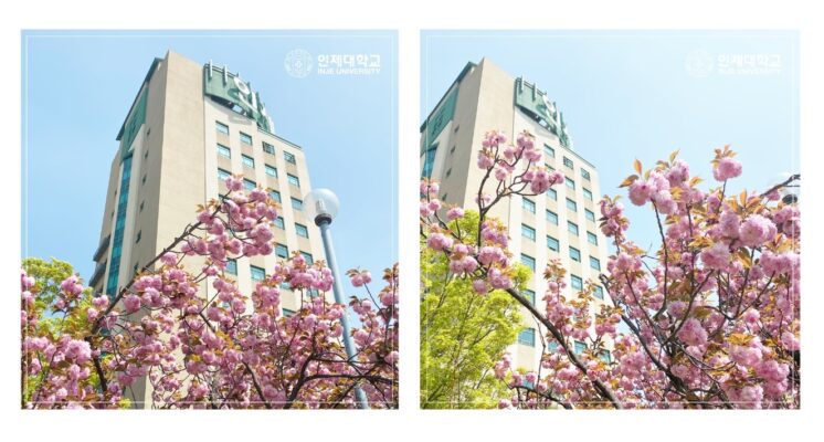 Đại học Inje - 인제대학교
