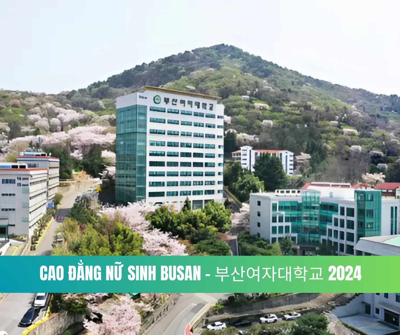 CAO ĐẲNG NỮ SINH BUSAN - 부산여자대학교 2024 - Du học Hàn Quốc JPSC